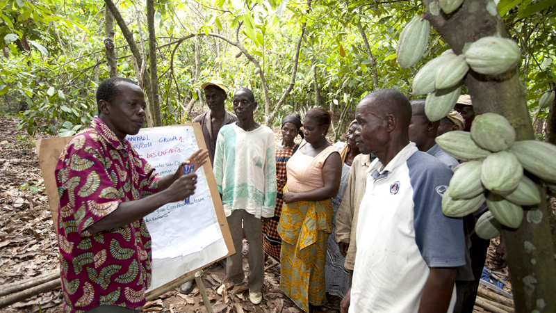 The power of collaboration: 6 success factors for private-NGO ...