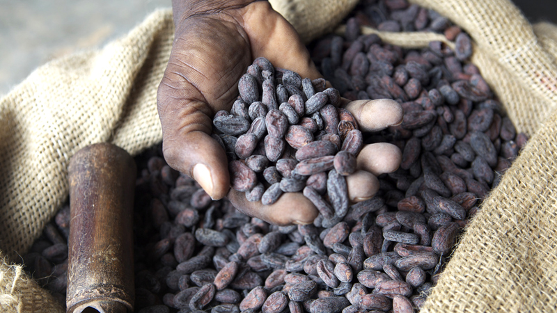 Can collective action in the cocoa industry overcome the challenges of ...
