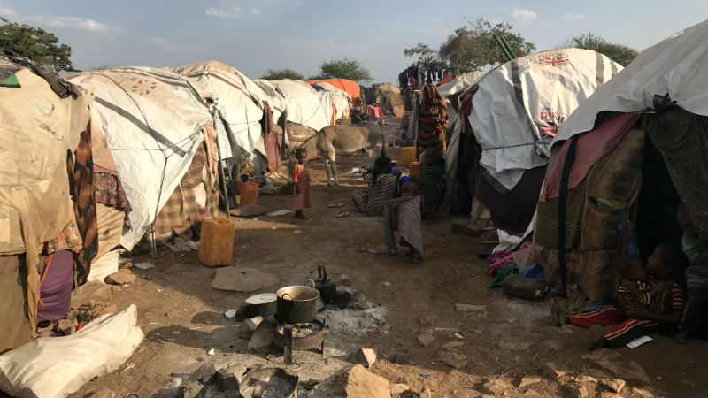 How cash transfers in Somalia could evolve into a national social ...