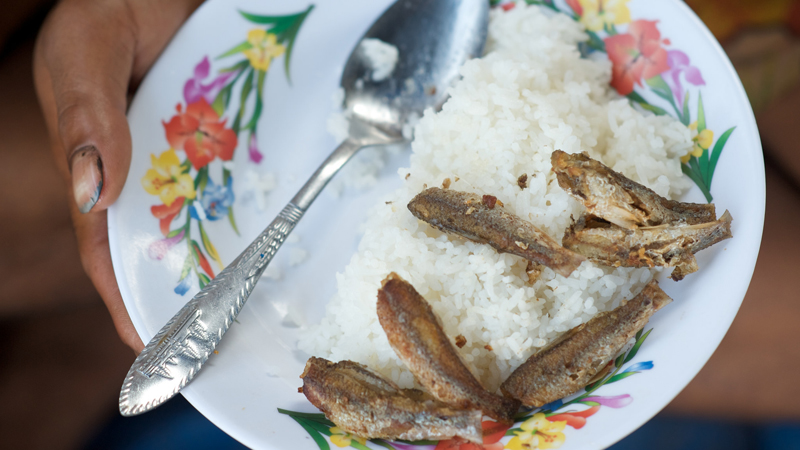 To tackle malnutrition, go fish | Devex