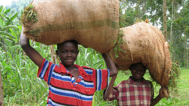 Food security for global security | Devex