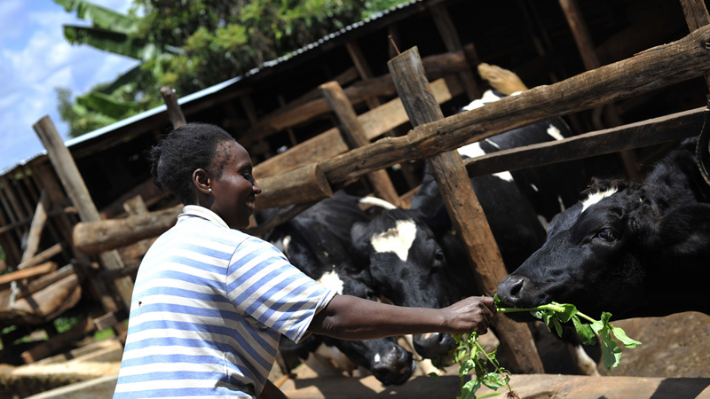 Opinion: Addressing the double burden of work for rural women | Devex