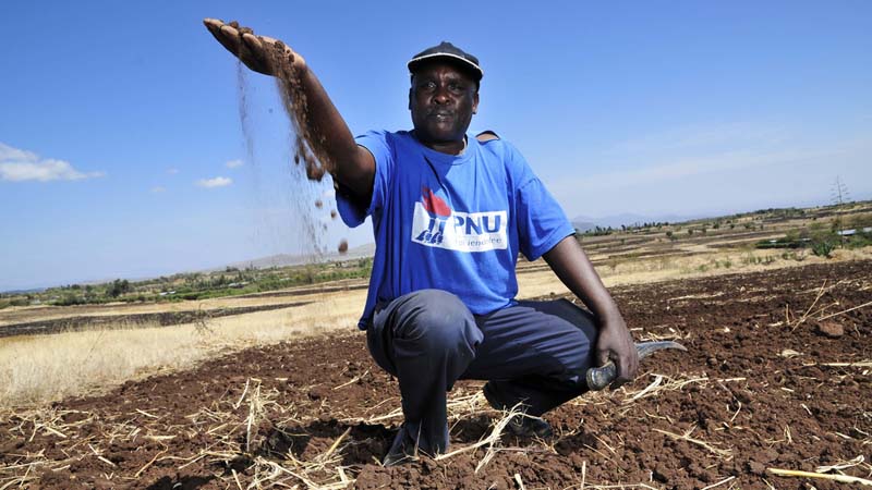 When in Paris, don't forget about food security | Devex