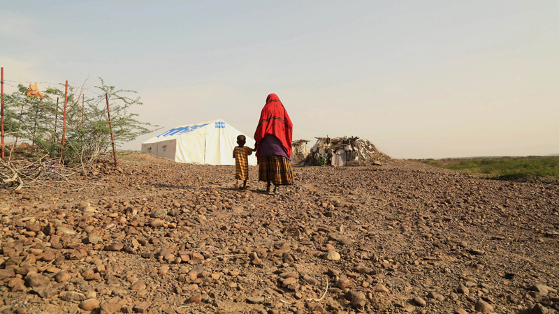 The impact of Ethiopia's 'Code Red' food crisis | Devex
