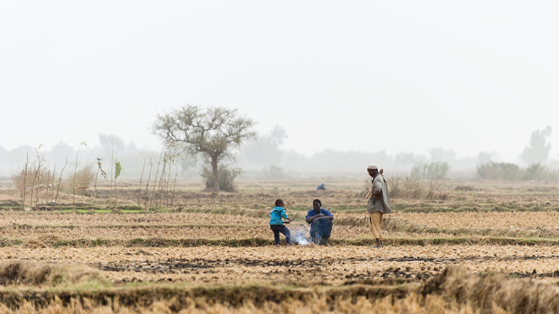 Opinion: A commitment to strengthening Niger's agriculture sector | Devex