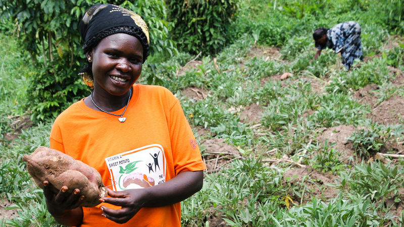 Cultivating nutrition: Fortified crops and good nutrition in the first ...