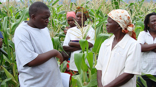 2015: Where are the global development jobs? | Devex