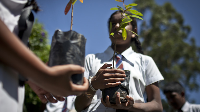 Australia's NGO program 'delivers strongly on results' | Devex