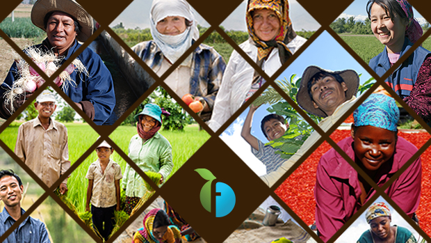 Global food security: Why it affects us all | Devex