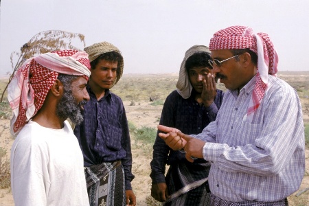 国連機関での主な募集職種について（2） | Devex