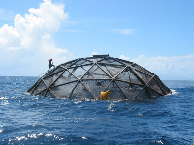 Mariculture: An opportunity for donors and developing nations | Devex