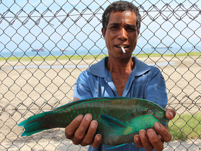 Funding needed for fish farming in East Timor | Devex