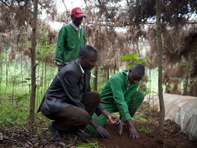 Local ownership: Who, what and how | Devex