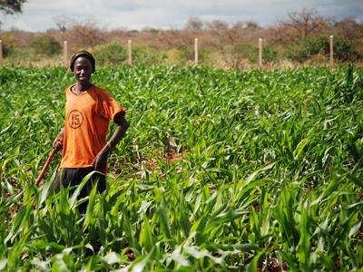 How stronger land use rights can curb global hunger | Devex