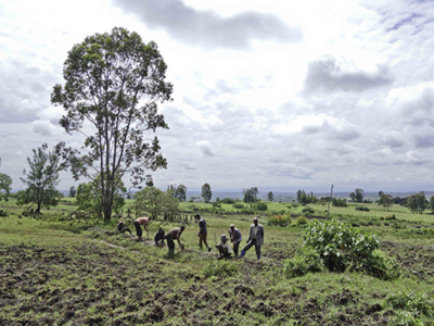 How to use land sustainably | Devex
