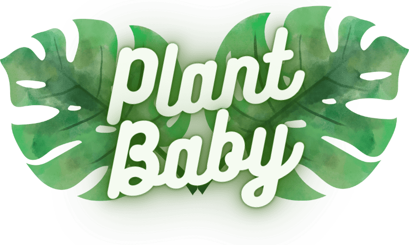 plant-baby-web | Devpost