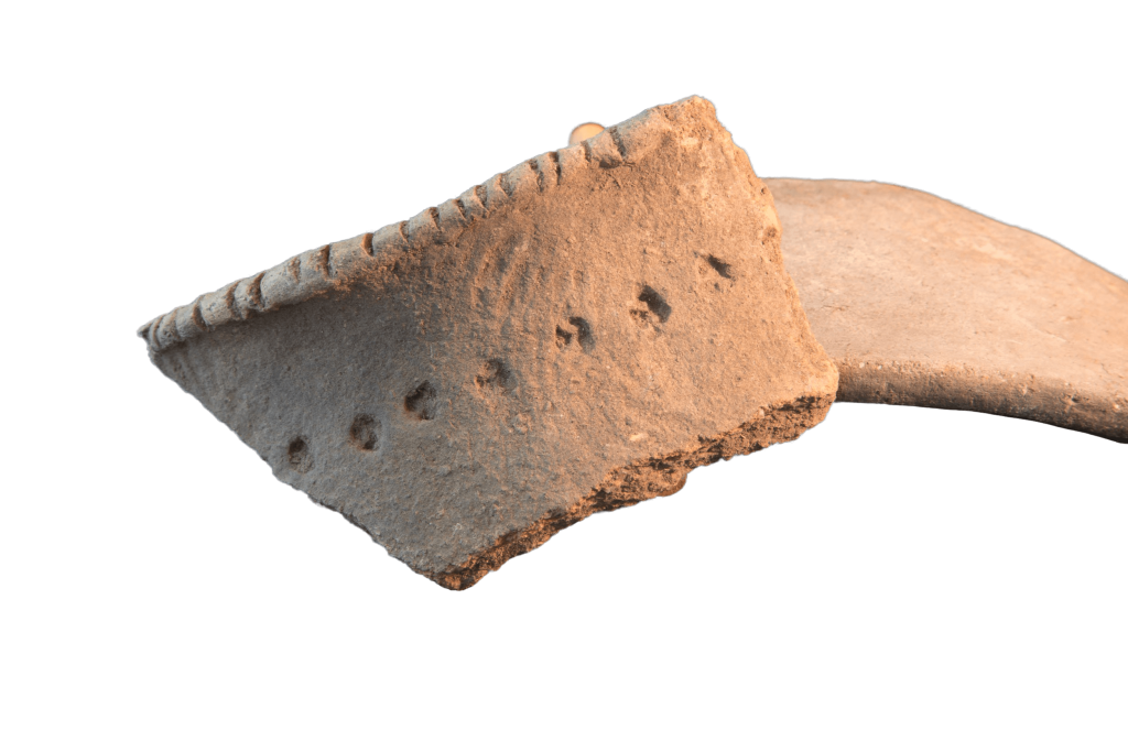 The Sewee and Predecessors: the Earliest Inhabitants of Dewees - Dewees ...