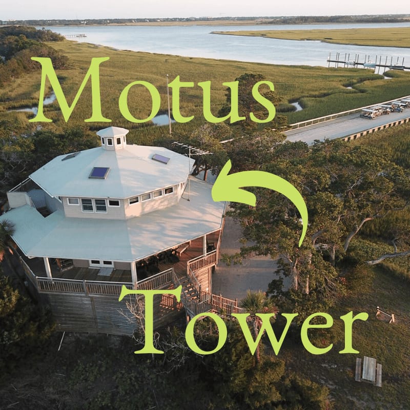 MOTUS Tower Provides a Whole New Look at Bird Migration - Dewees Island ...