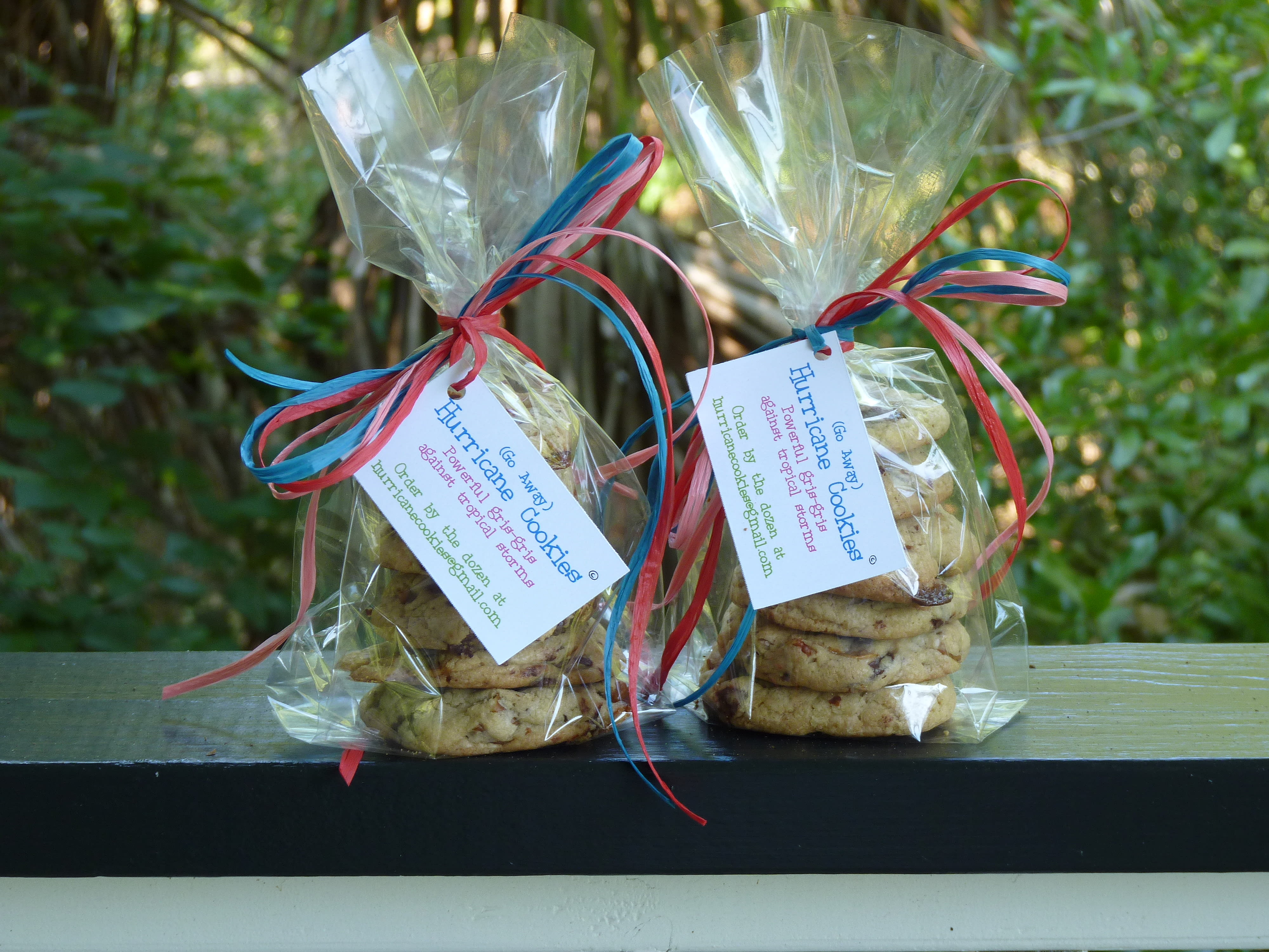 Hurricane Cookies - Dewees Island, Charleston, SC