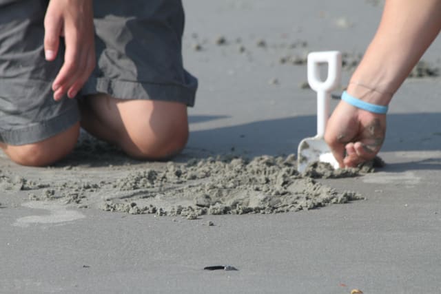 How to Play Dammit!ball - Dewees Island, Charleston, SC