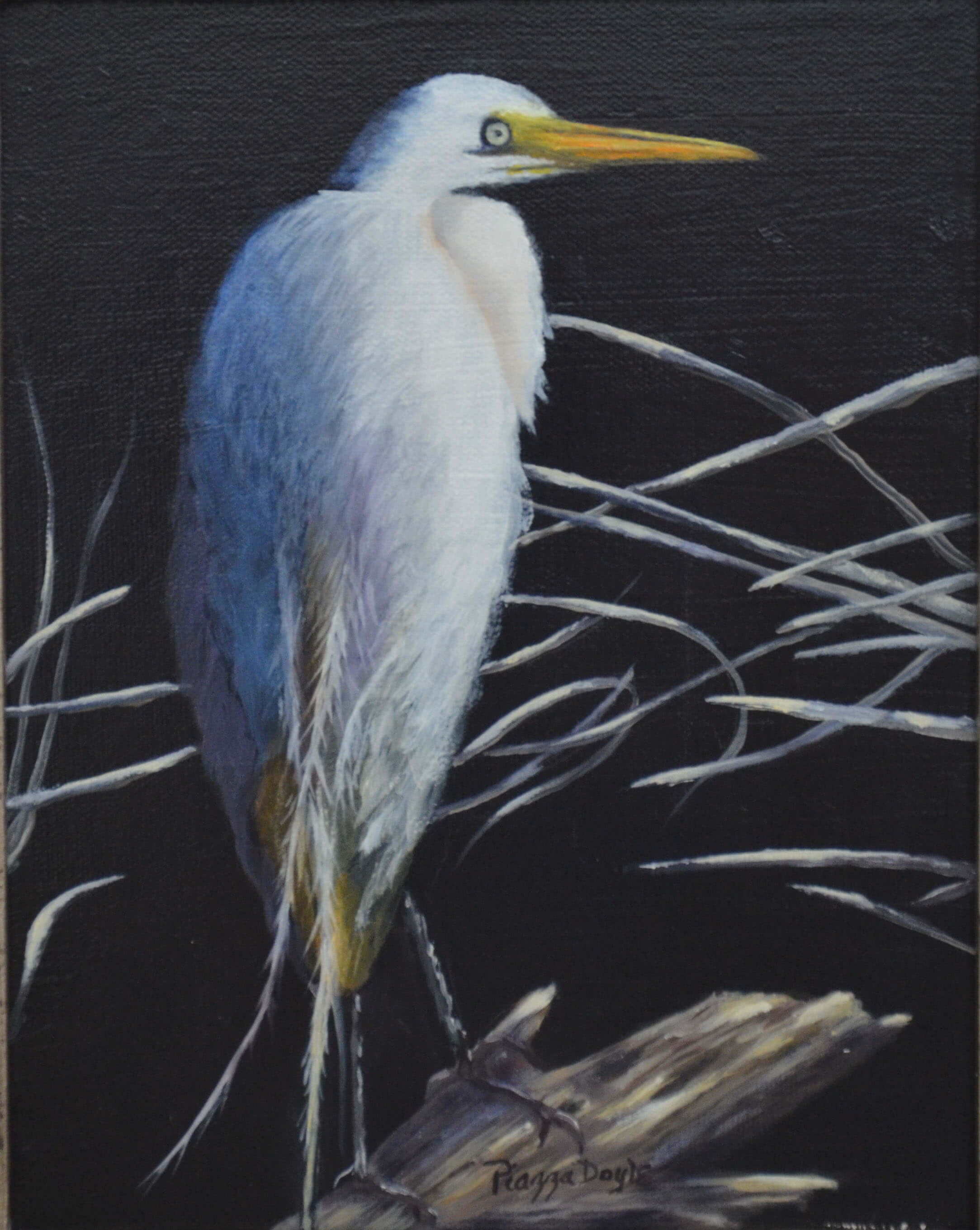 Night_Egret - Dewees Island, Charleston, SC