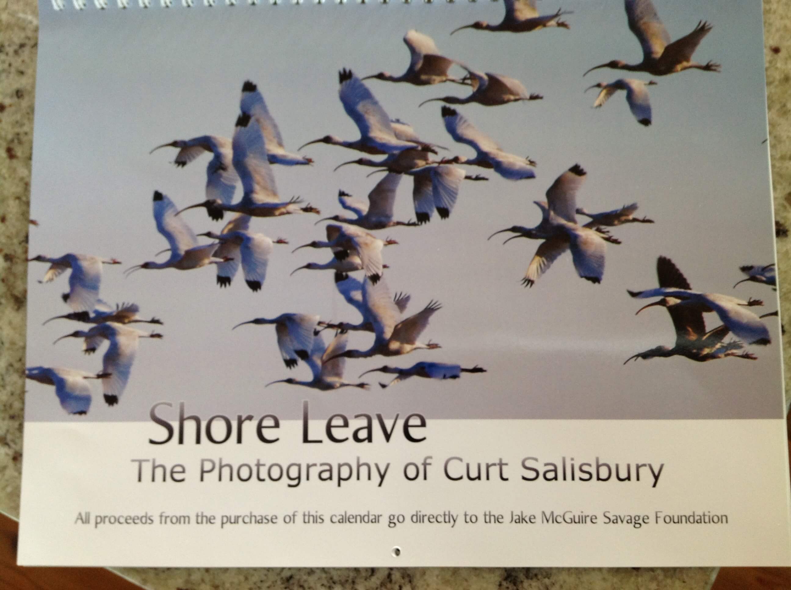 Curt Salisbury Publishes Calendar for Jake McGuire Savage Foundation ...