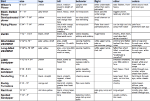 Shorebirds: a video, an overview, and an ID chart - Dewees Island ...