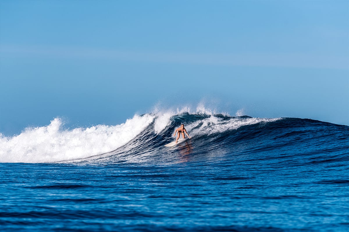 Sportlink | Peri Roberts