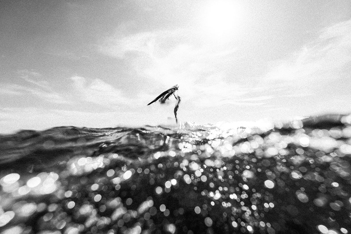 Sportlink | Peri Roberts