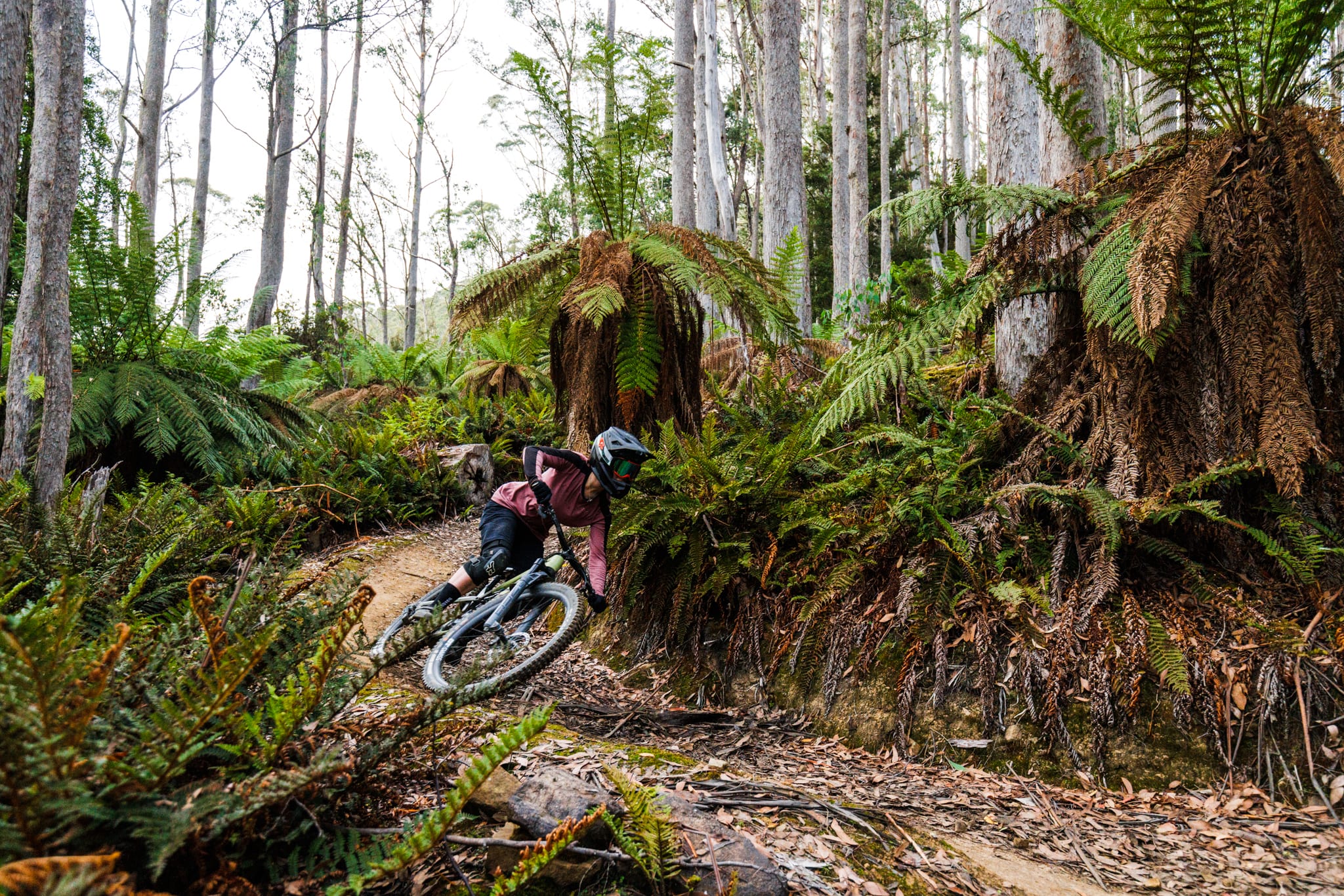 Sportlink | Laura Craft