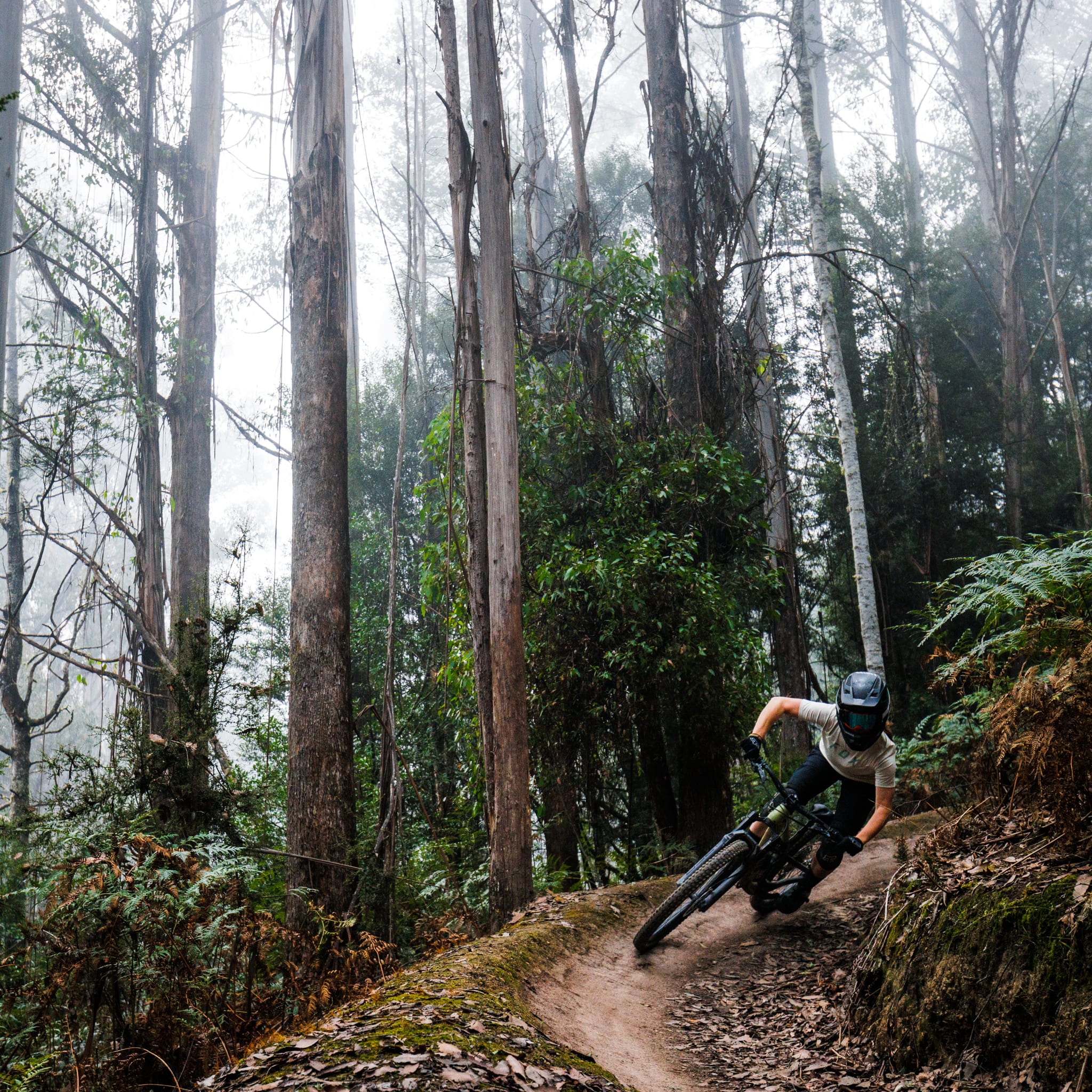 Sportlink | Laura Craft