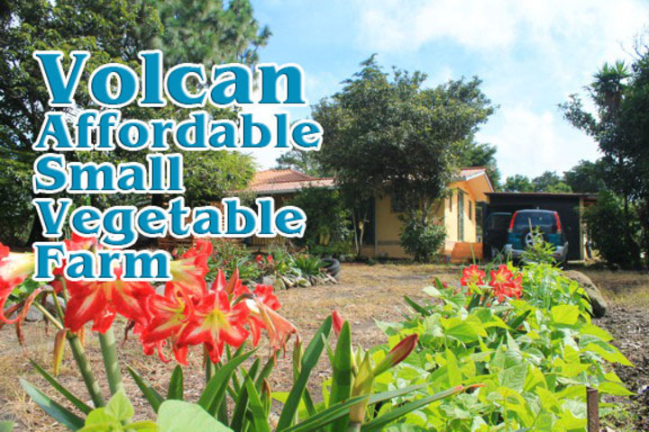 Volcan affordable vegetable farm with mountain view | YourPanama