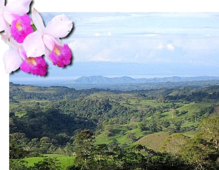 Spectacular Panoramic Ocean view Panama | YourPanama