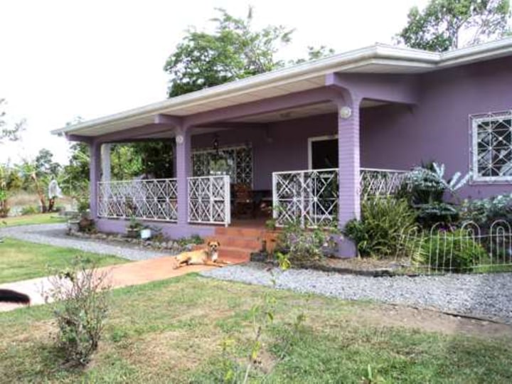Volcan Panama acreage and houses for sale | YourPanama