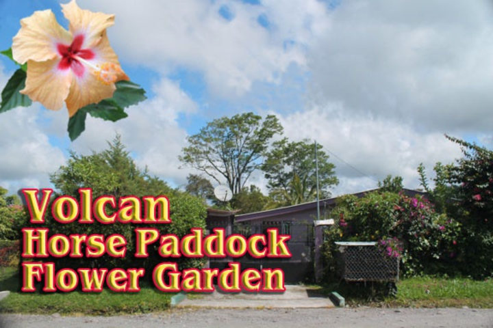 Volcan horse paddock flower garden affordable living. | YourPanama