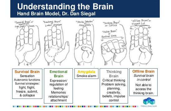 Deep-Dive with a Handy Brain Model - Digital Introspection