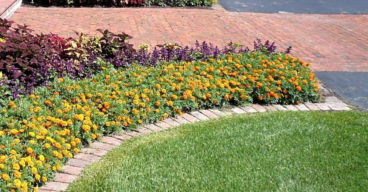 Which landscape edging is best? - Landscaping World