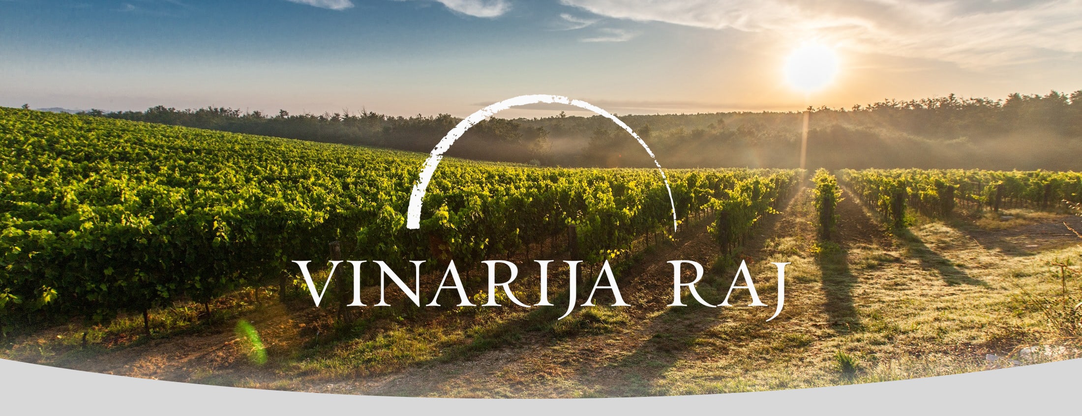 Vinarija Raj - Naša vina