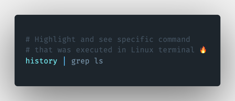 How to highlight and see a specific command that was executed in the Linux terminal? | MELVIN GEORGE