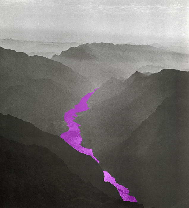 Chicago Gallery News | Museum of Contemporary Photography (MoCP)