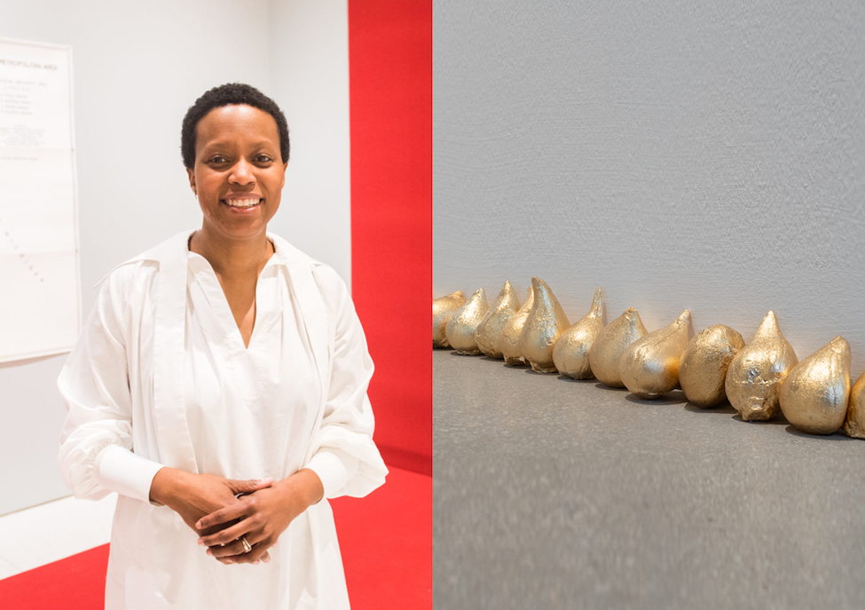 Chicago Art Exhibitions | Amanda Williams: Redefining Redlining