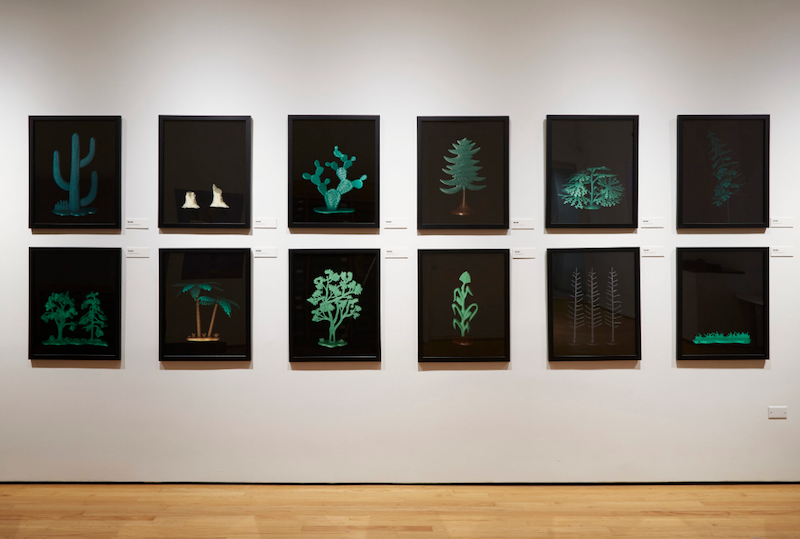 Chicago Gallery News | Museum of Contemporary Photography (MoCP)