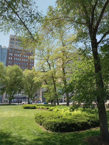 Chicago Gallery News | Museum of Contemporary Photography (MoCP)