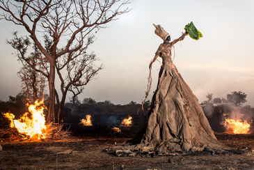 Chicago Gallery News | Museum of Contemporary Photography (MoCP)