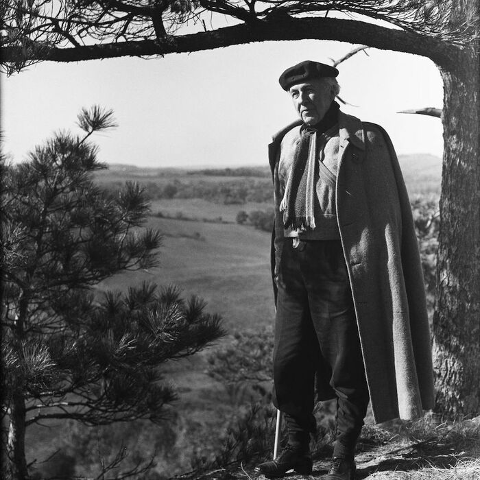 Chicago Gallery News | The Driehaus Museum