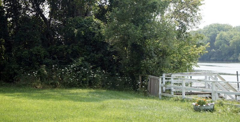 Chicago Gallery News | Museum of Contemporary Photography (MoCP)