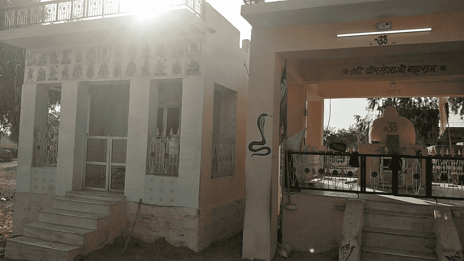VEER TEJA TEMPLE, Peedwa, Rajasthan, India | Spiritual Hindu