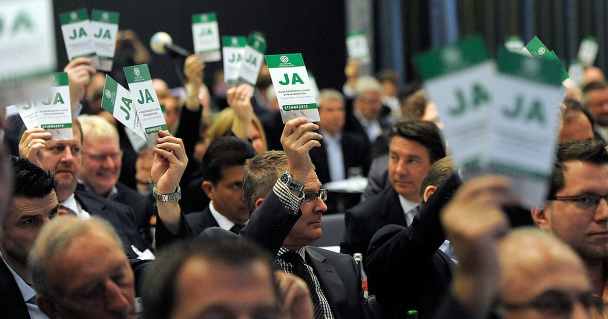 Members German Football Association DFB