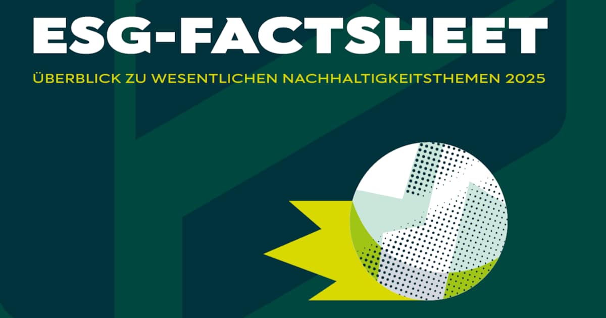 Gutes Spiel: DFB veröffentlicht ESG-Factsheet