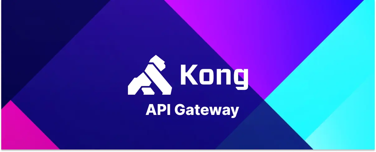 Why use Kong API Gateway Why use Kong API Gateway